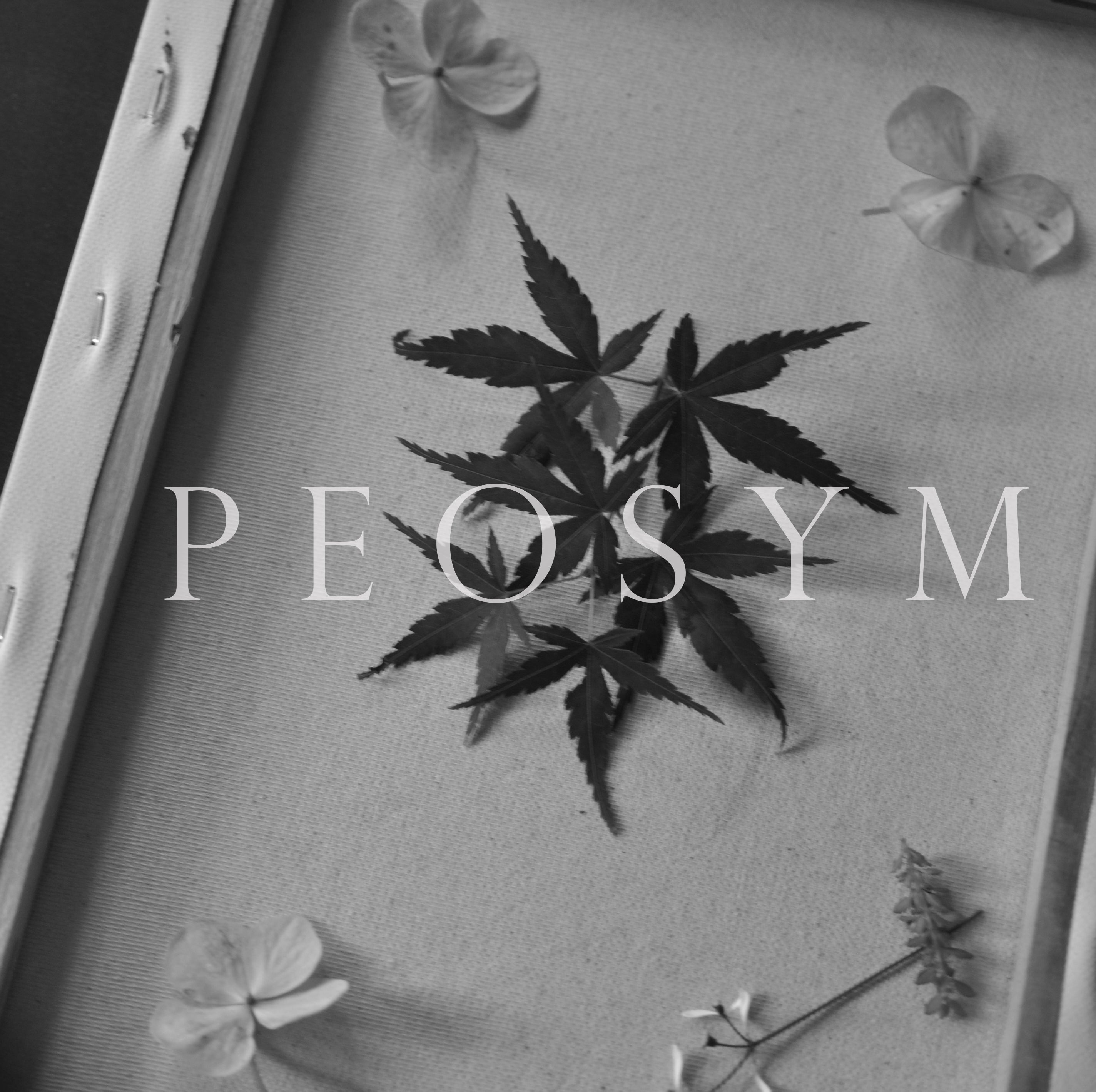 PEOSYM